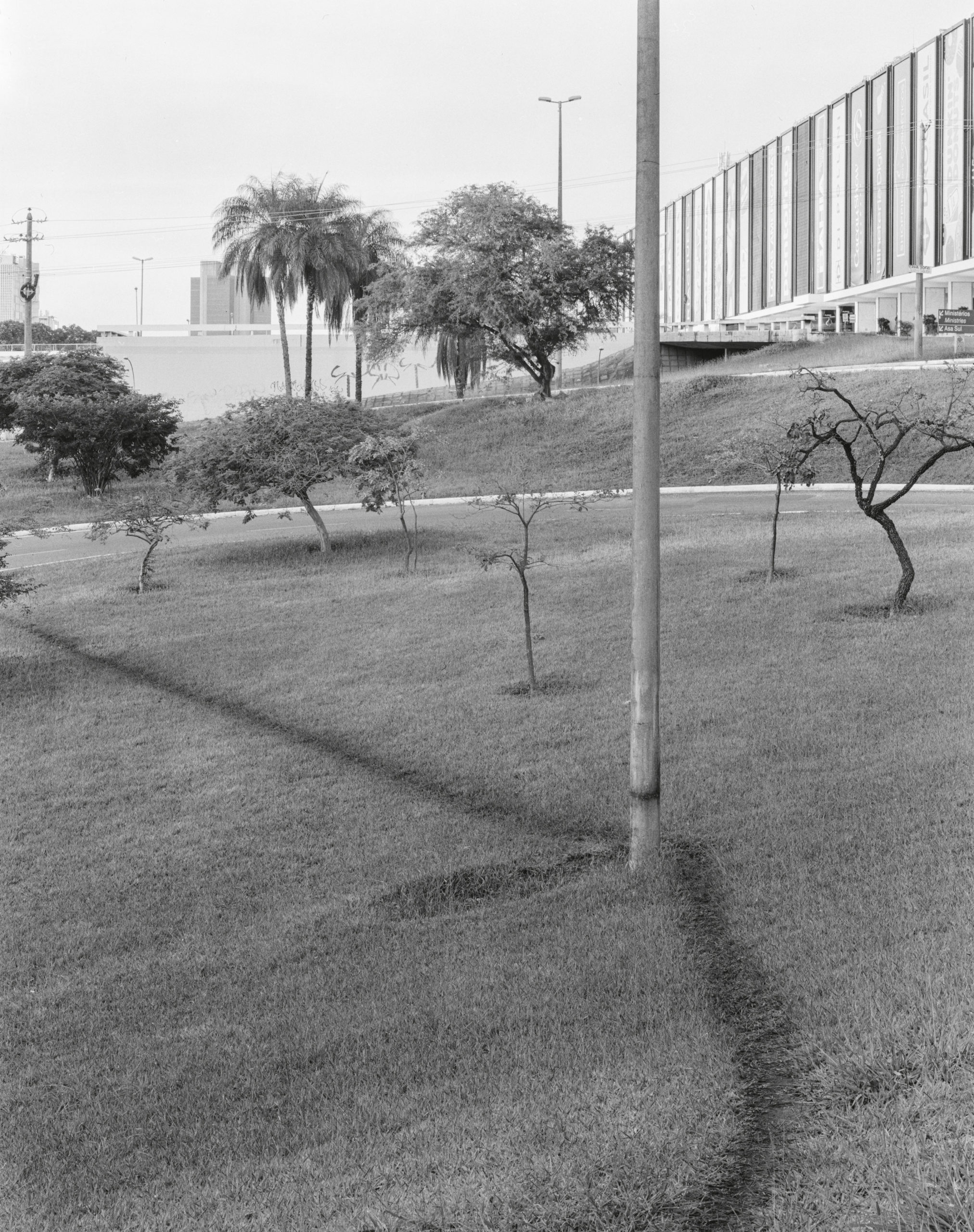 As Linhas de Desejo - Revista Amarello